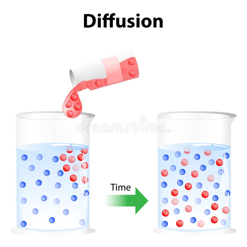 Diffusion is Movement of Molecules and Atoms from a Region of Higher ...