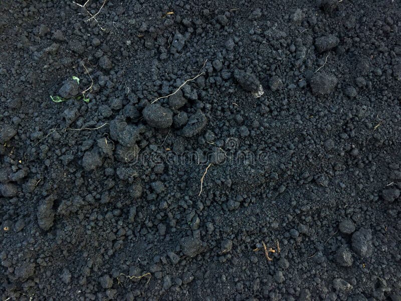 Dig the Earth Planting Earth Pattern Stock Photo - Image of ...