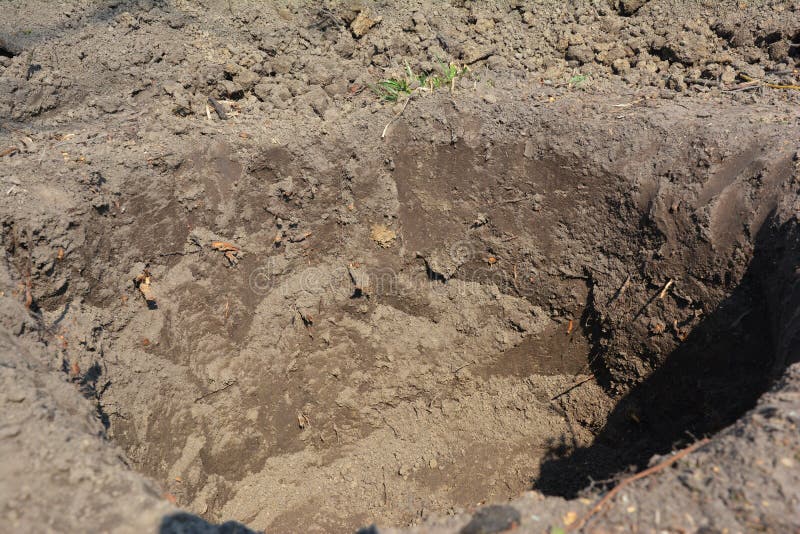 Dig Hole in the Ground for Planting Trees Stock Image - Image of ...