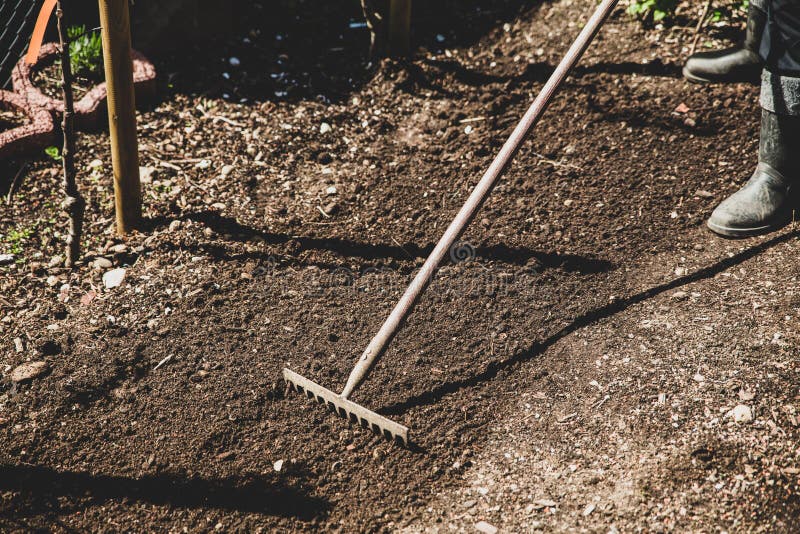 Dig Over Soil with a Rake, Gardening and Farming Stock Image - Image of ...