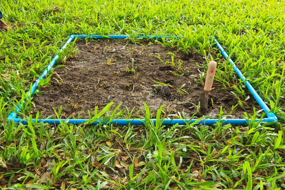 Dig stock image. Image of dirt, research, agriculture - 32989155