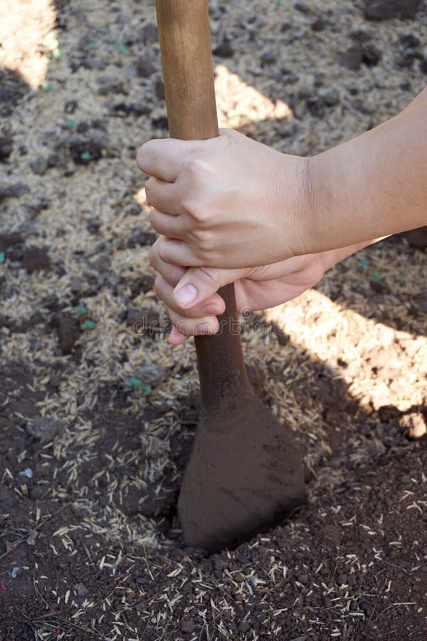 Digging Soil Using A Shovel Stock Image - Image of woods, shovel: 34645931