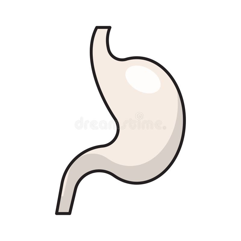 Digest Vector Flat Color Icon Stock Vector - Illustration of medicine ...