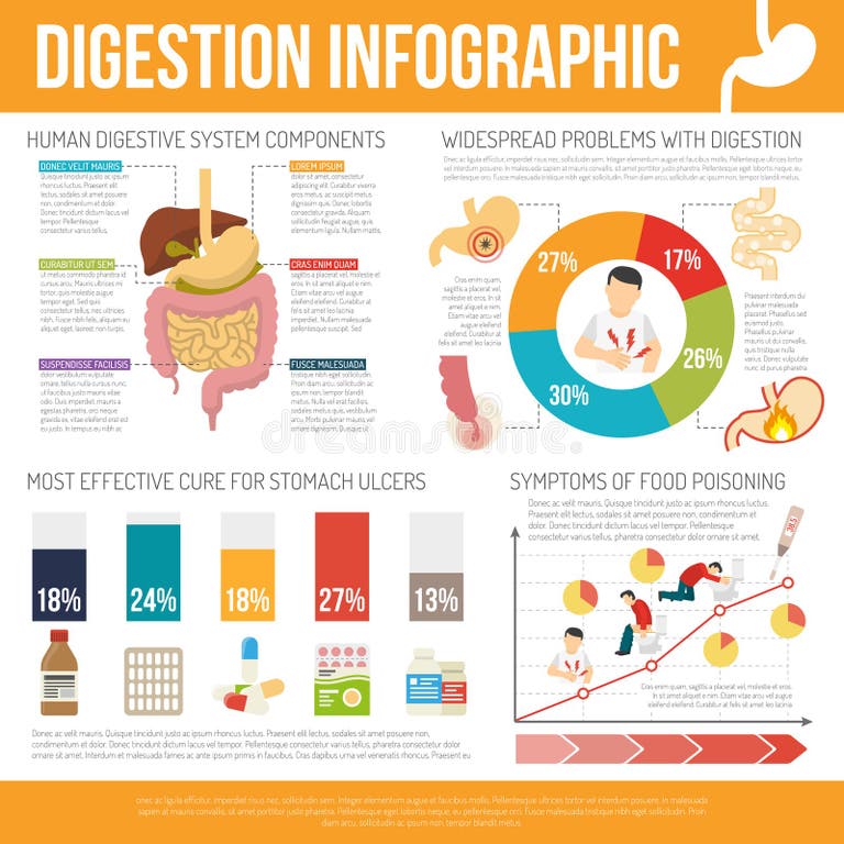 Digestion Symbols Stock Illustrations – 558 Digestion Symbols Stock ...