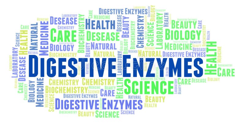 Digestive Enzymes Word Cloud. Stock Illustration - Illustration of ...