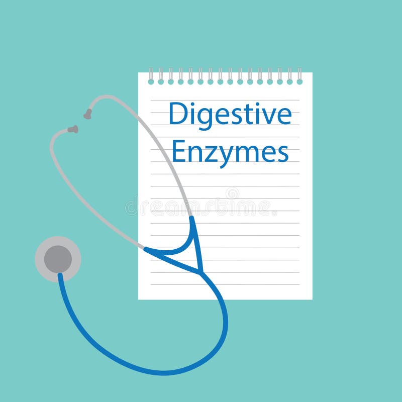 Digestive Enzymes Icon Stock Illustrations – 120 Digestive Enzymes Icon ...