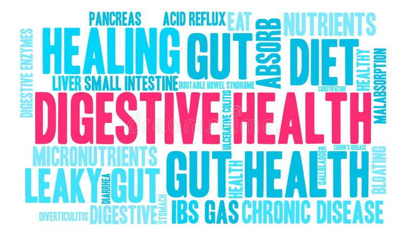 Digestive Health Word Cloud Stock Illustration - Illustration of ...