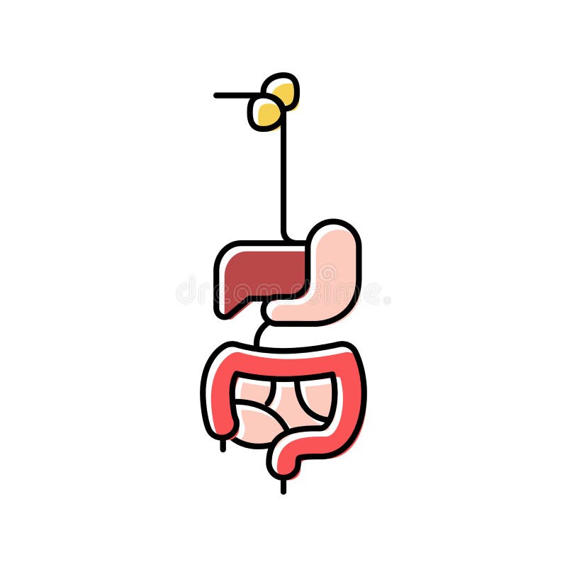 Digestive System Color Icon Vector Illustration Stock Vector ...