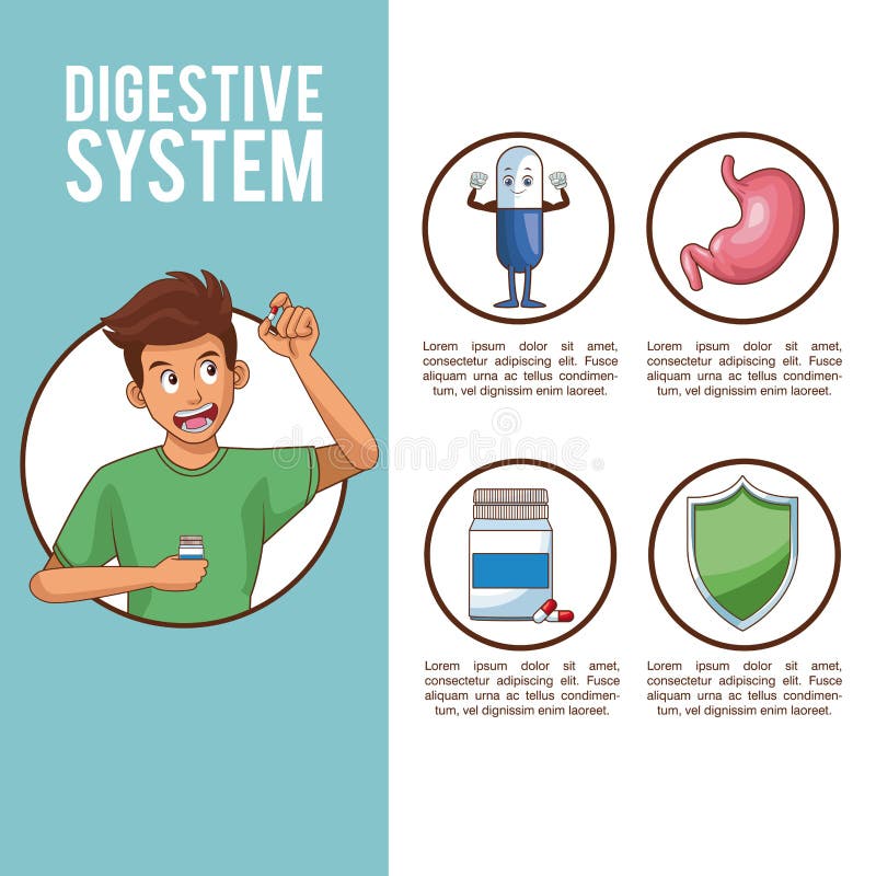 Digestive system concept stock vector. Illustration of healthy - 121621834