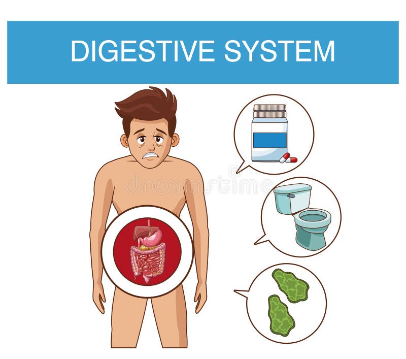 Digestive system concept stock vector. Illustration of gastrointestinal ...