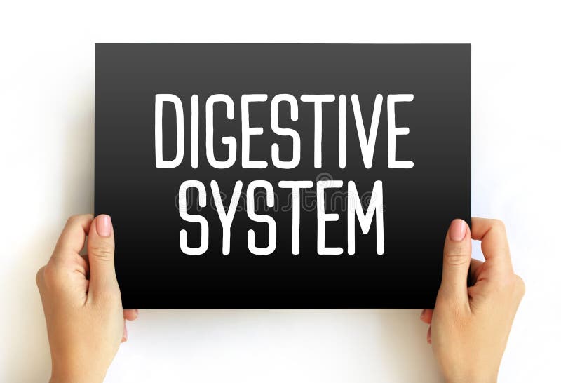 Digestive System Consists of the Gastrointestinal Tract Plus the ...