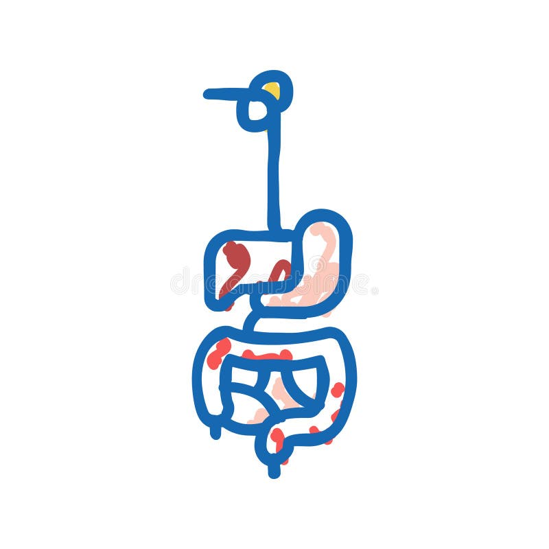 Digestive System Icon Doodle Illustration Stock Illustration ...