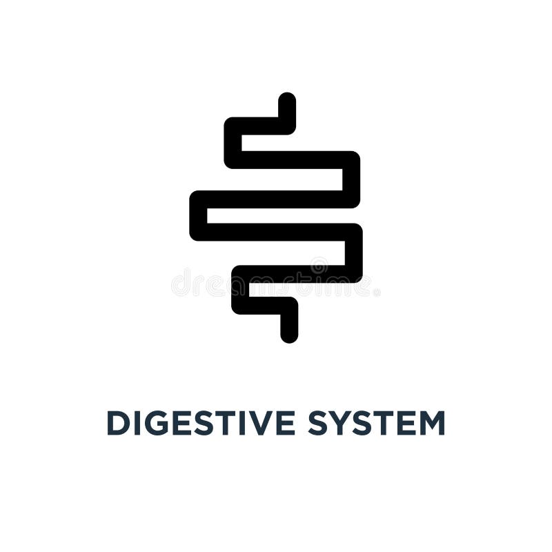 Digestive Sy Stock Illustrations – 1 Digestive Sy Stock Illustrations ...