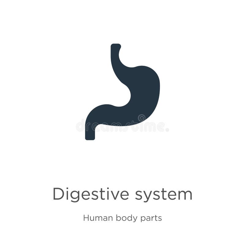 Digestive System Icon Vector. Trendy Flat Digestive System Icon from ... Digestive System Icon Vector. Trendy Flat Digestive System Icon from ...