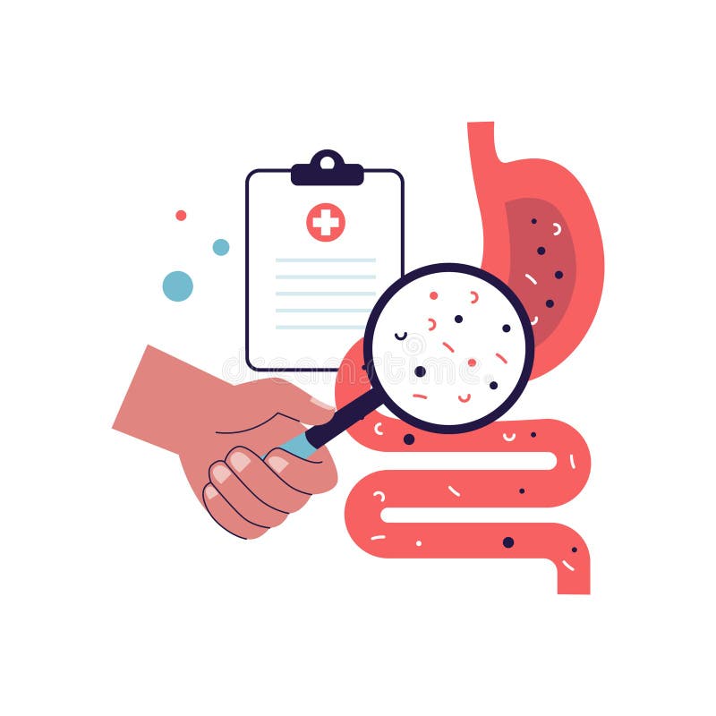 Digestive System Illustration Concept Stock Vector - Illustration of ...