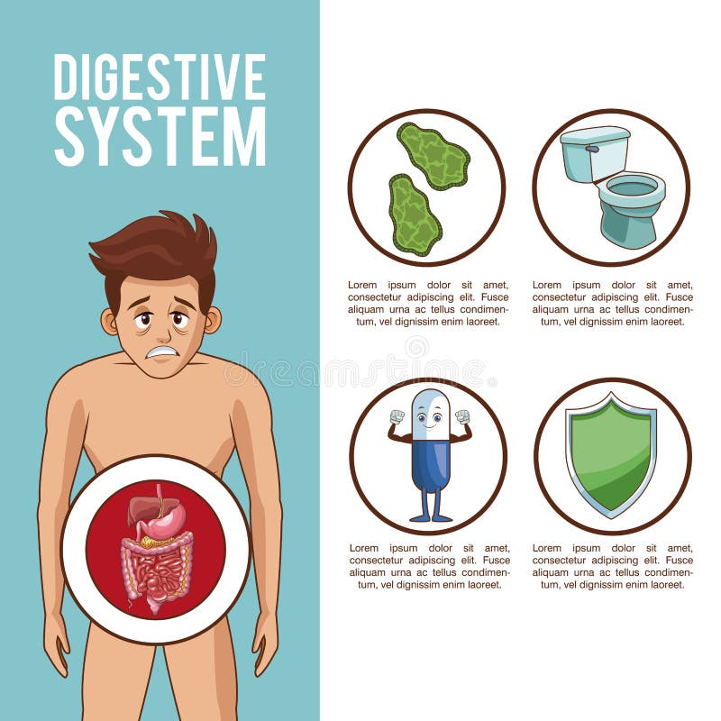 Digestive System Infographic Stock Vector - Illustration of good ...