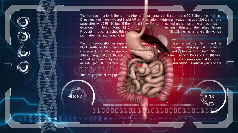 Healthy Intestines and Disease Intestines on Green Screen Rotate ...