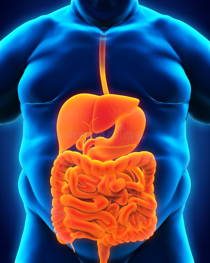 Body Guts Stock Illustrations – 1,359 Body Guts Stock Illustrations ...