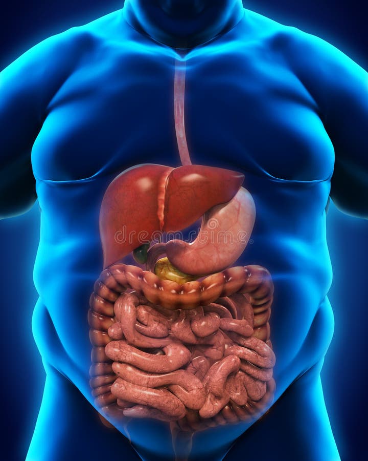 Body Guts Stock Illustrations – 1,359 Body Guts Stock Illustrations ...