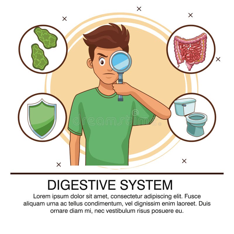 Digestive System Infographic Stock Vector - Illustration of internal ...
