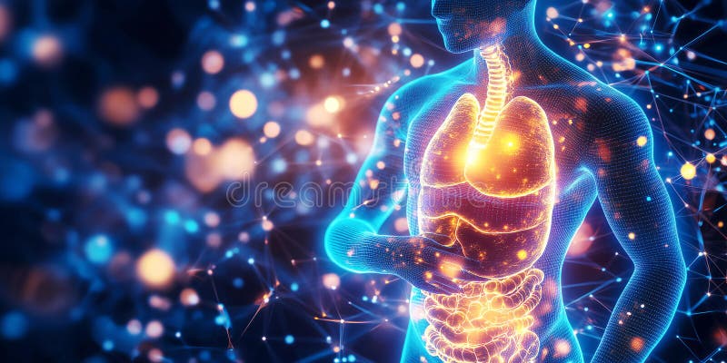 Digestive System Visualized As Flowing Rivers of Liquids, Ligaments ...