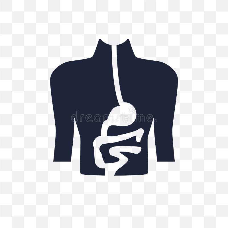 Digestive System Transparent Icon. Digestive System Symbol Design from ...