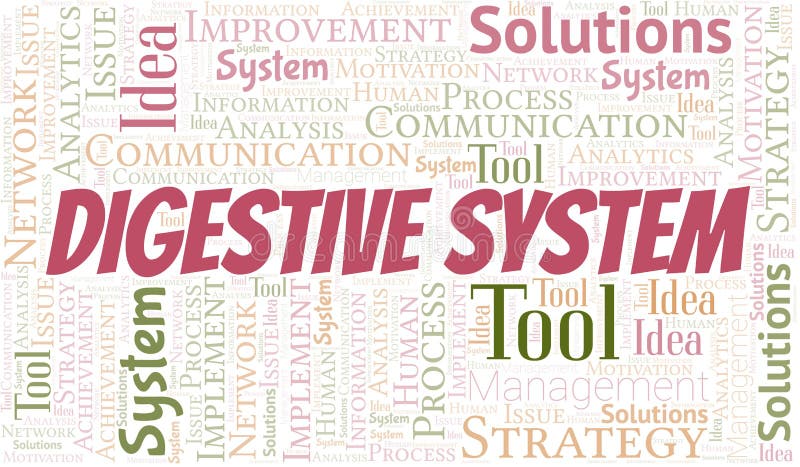 Digestive System Typography Vector Word Cloud. Stock Vector ...