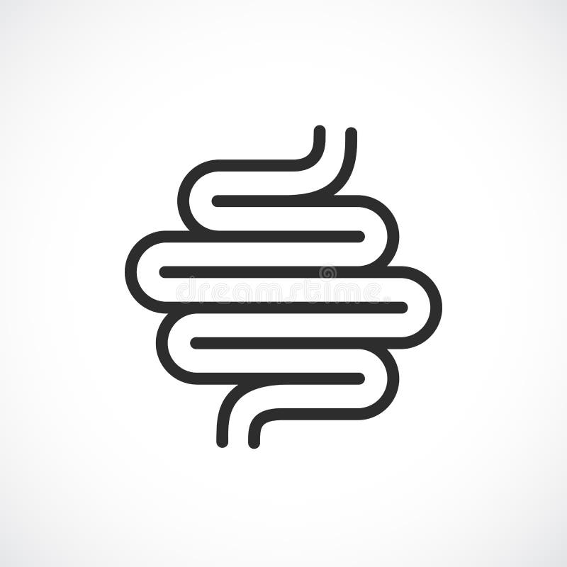 Intestine Maze stock illustration. Illustration of food - 970376