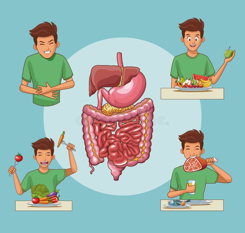 Digestive system cartoon stock vector. Illustration of body - 121621219