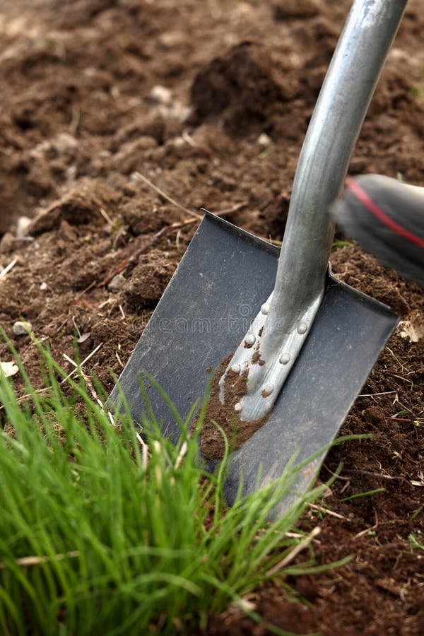 Hammer stock photo. Image of power, tool, succed, hammer - 792342