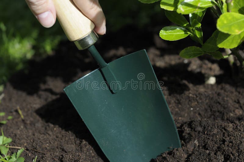 Digging His Fingers Into The Cracks Stock Photo - Image of casual ...