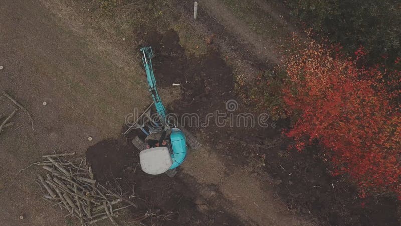 Digging Excavator Old Roots of Trees Stock Footage - Video of ...