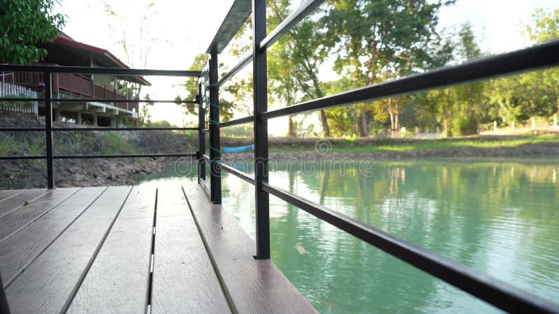 Digging a Fish Pond in the Garden. Stock Video - Video of fish ...