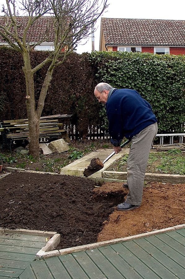 Digging the garden stock image. Image of hobbies, digging - 10005965