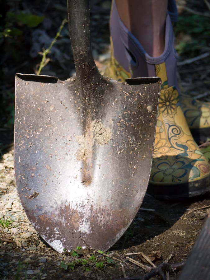 Digging in the Garden stock photo. Image of backyard - 21091784