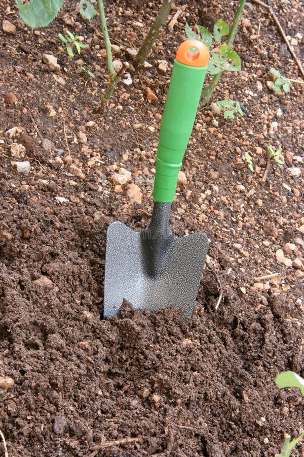 Digging the garden stock photo. Image of garden, closeup - 5494218