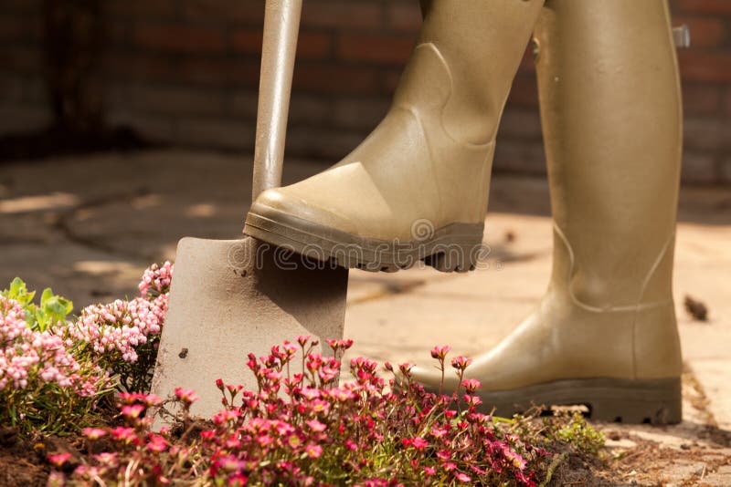 Digging in Garden stock photo. Image of equipment, digging - 30938672