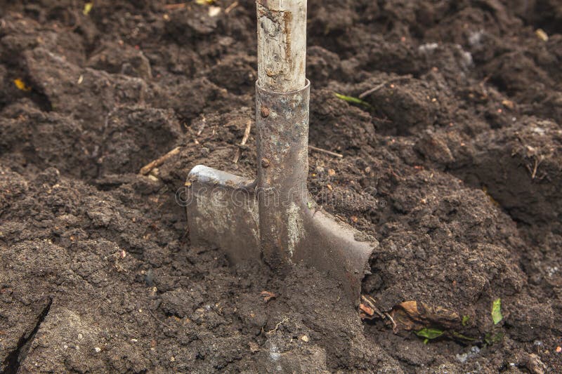 Digging in the garden stock photo. Image of peasant, land - 86204024