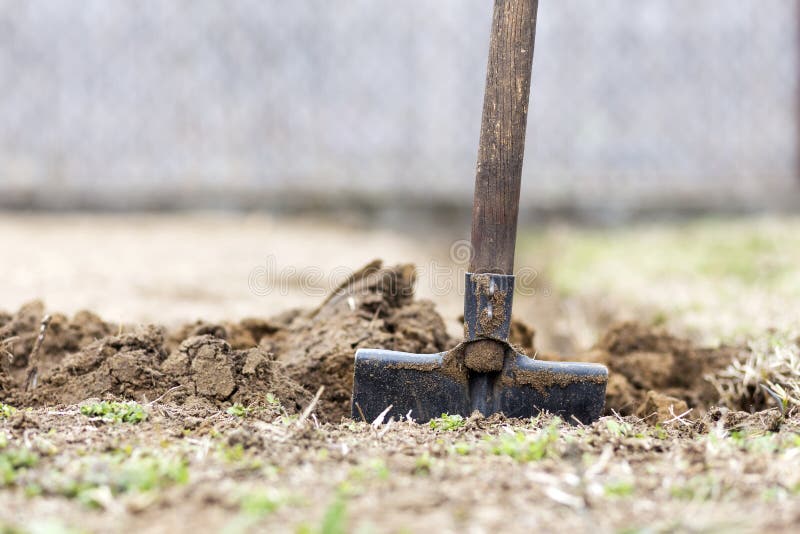 Digging in the Home Garden. Stock Photo - Image of gardener, plant ...
