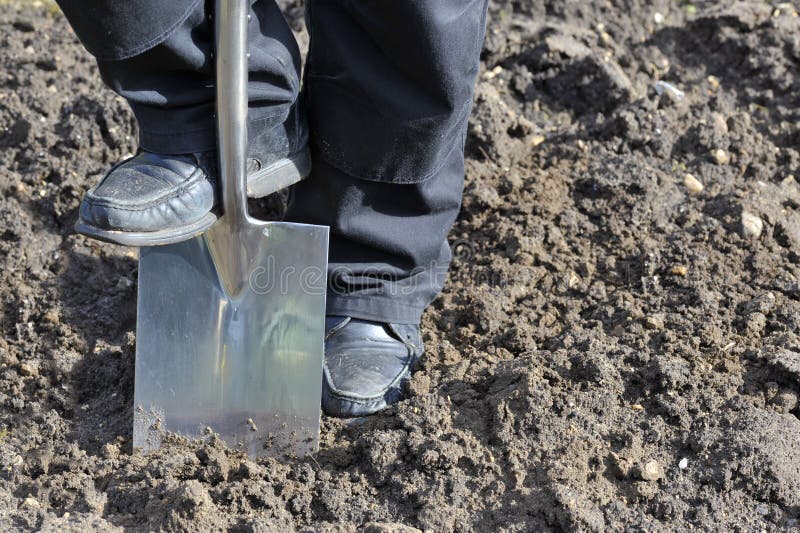 Digging stock photo. Image of tools, growing, prepare - 67794042