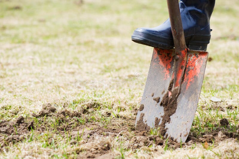 Digging Ground in the Field Stock Image - Image of lawn, farm: 115159171