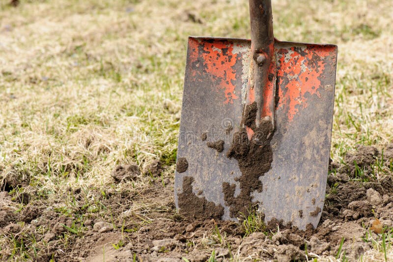 784 Old Rusty Spade Stock Photos - Free & Royalty-Free Stock Photos ...