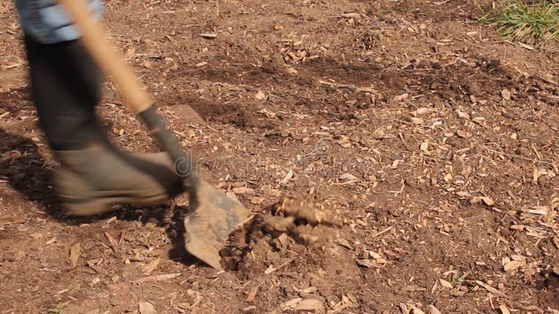 Digging Hole in Dirt stock video. Video of detail, person - 68612509