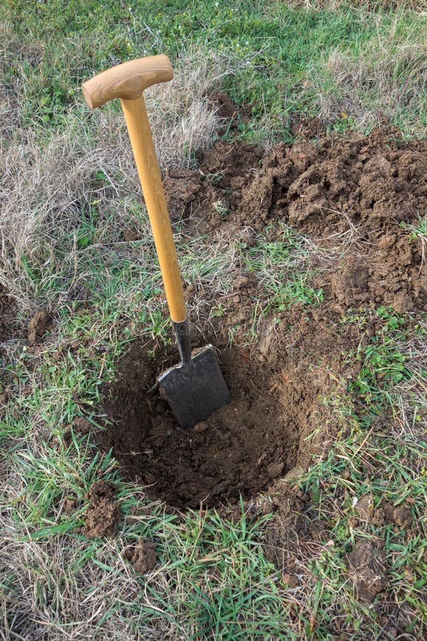 Digging a Hole on Lawn for Plant Stock Image - Image of ground, garden ...
