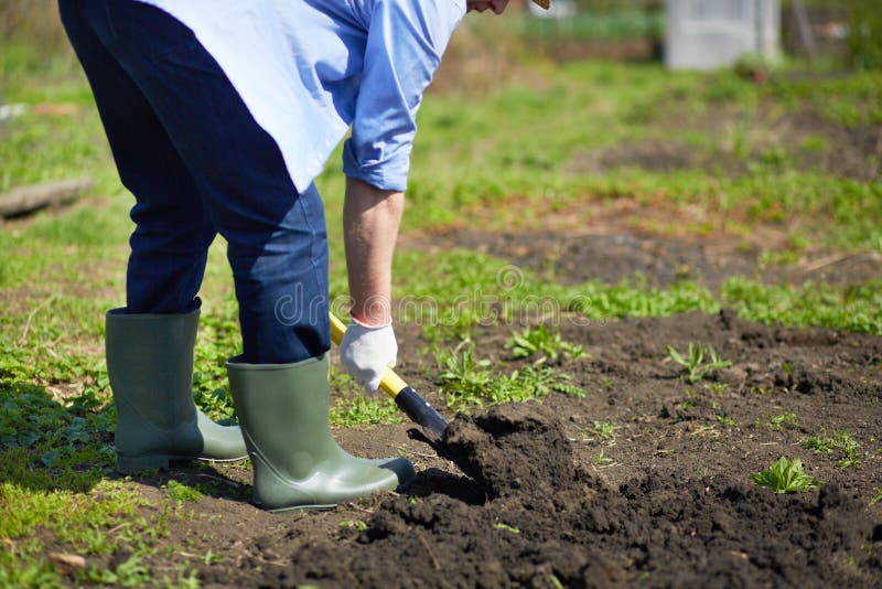 Garden Worker Dig Up Flower Bed Stock Image - Image of spring, women ...