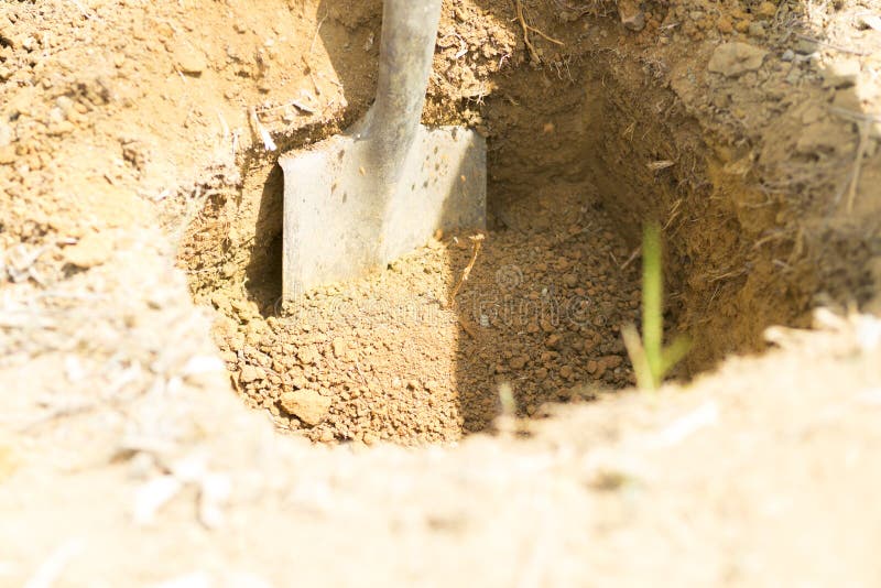 Digging the Land for Planting Stock Image - Image of dirt, hand: 74510355