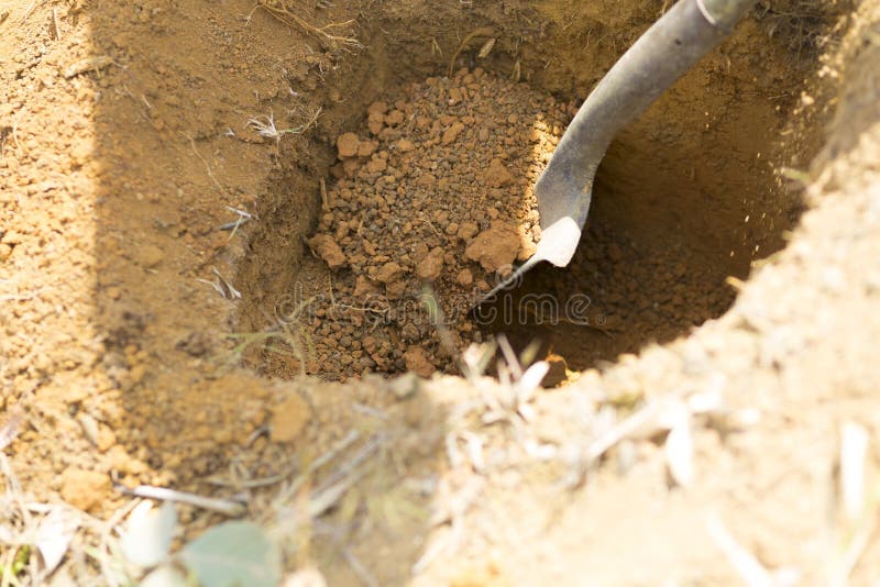 Digging the Land for Planting Stock Photo - Image of inspiration ...