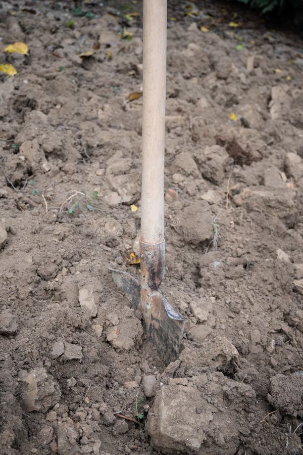 Digging Operations in a Vegetable Garden Stock Image - Image of farming ...