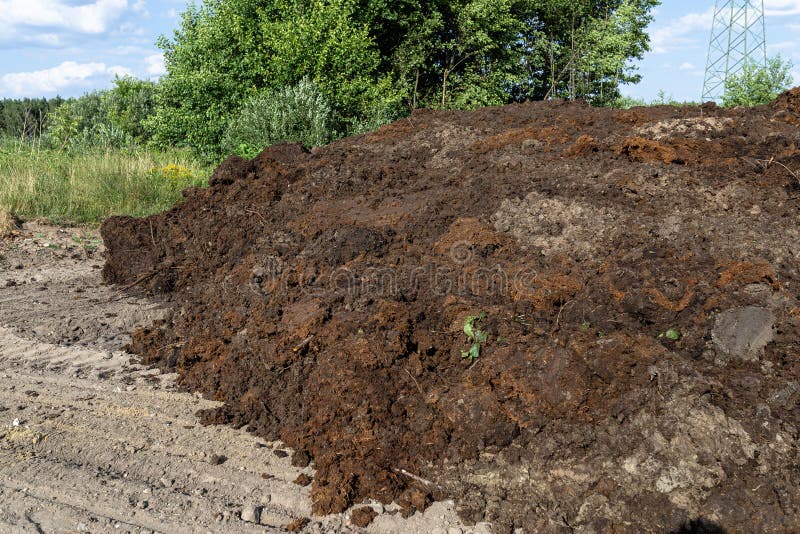 Digging Out Peat from Marshy Swamps, Visible Mountains Made of Peat ...