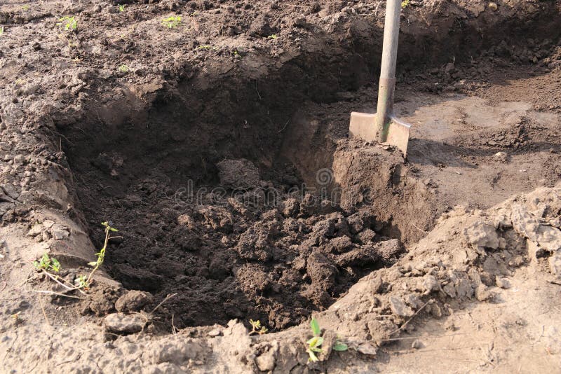 Deep Pit in the Ground. Digging a Hole. Stock Image - Image of farming ...